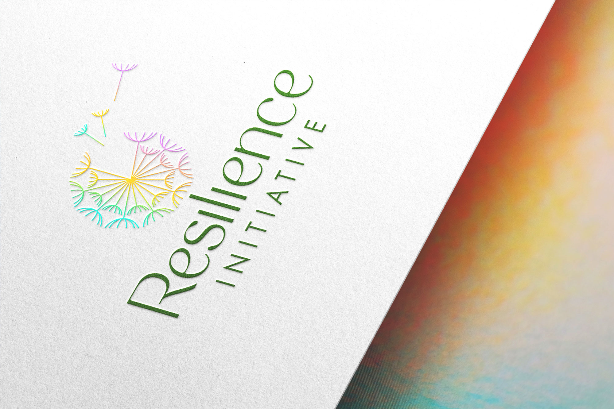 Resilience Initiative - Dayspring Partners